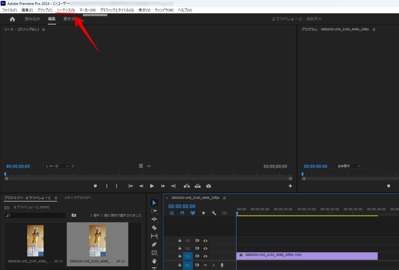 Youtubeショート動画をPremiereProで作る方法 - Creator Blog